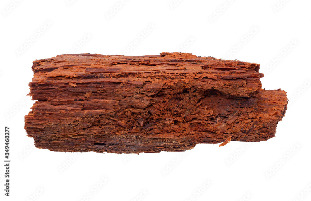 Rotten wood isolate on a white background. Full focus. No shadows ...