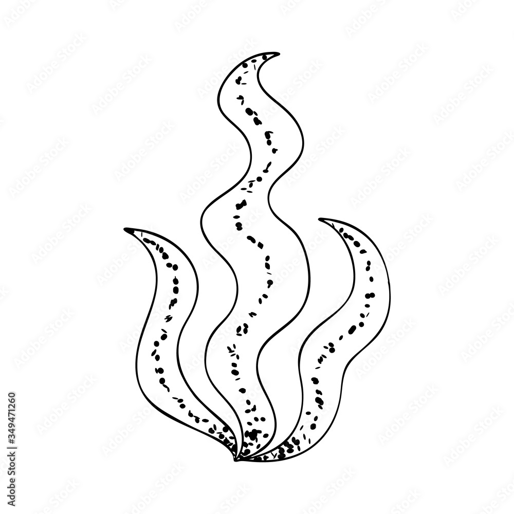 Seaweed in a simple style, isolated vector on white background. Single ...