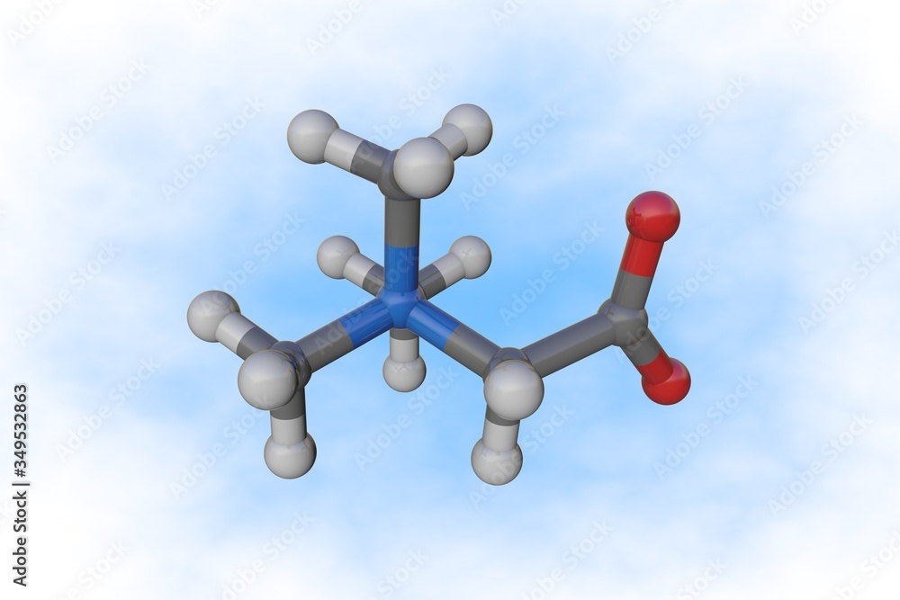 Space-filling molecular model of betaine. Atoms are represented as ...