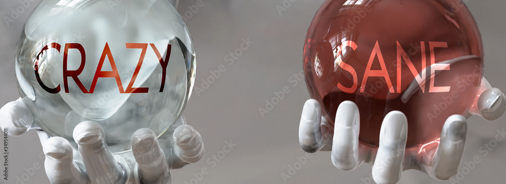 sane and crazy in a balanced life - pictured as words sane,crazy in ...