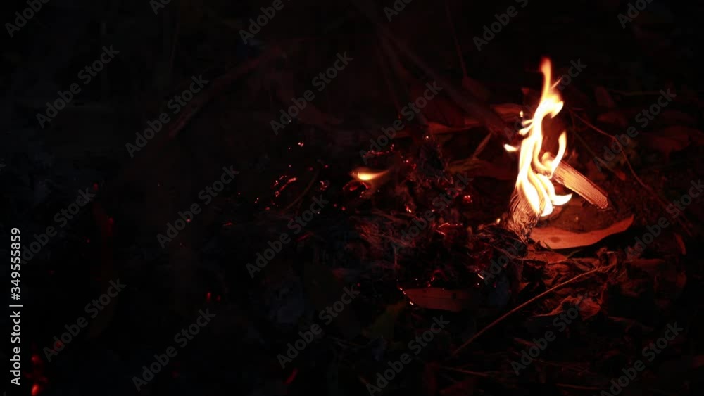 Coconut Leaf Fire flames on a black background. Blaze fire flame ...