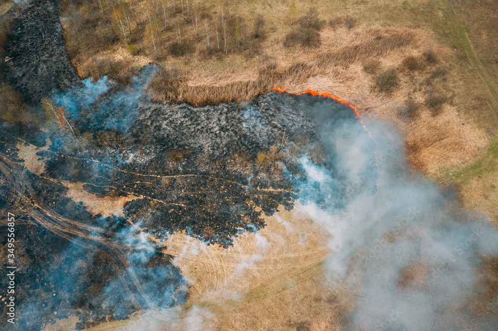 Aerial View. Dry Grass Burns During Drought And Hot Weather. Bush Fire ...