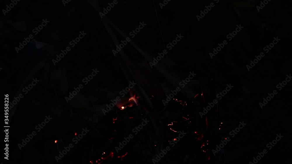 Coconut Leaf Fire flames on a black background. Blaze fire flame ...