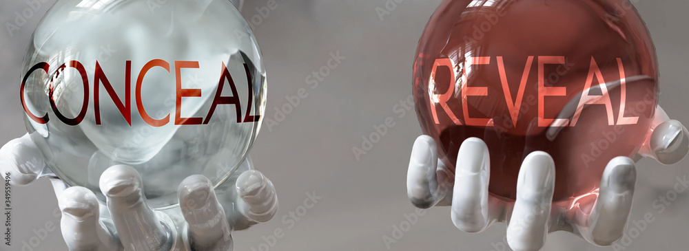 reveal and conceal in a balanced life - pictured as words reveal ...