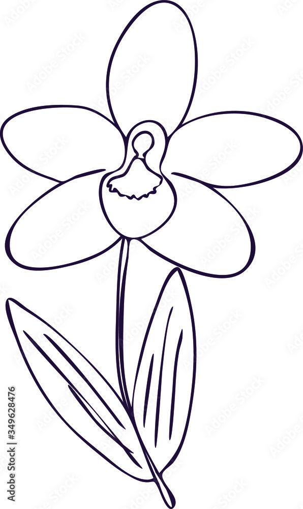 Single flower of orchid hand drawing. For card, site, poster, design ...