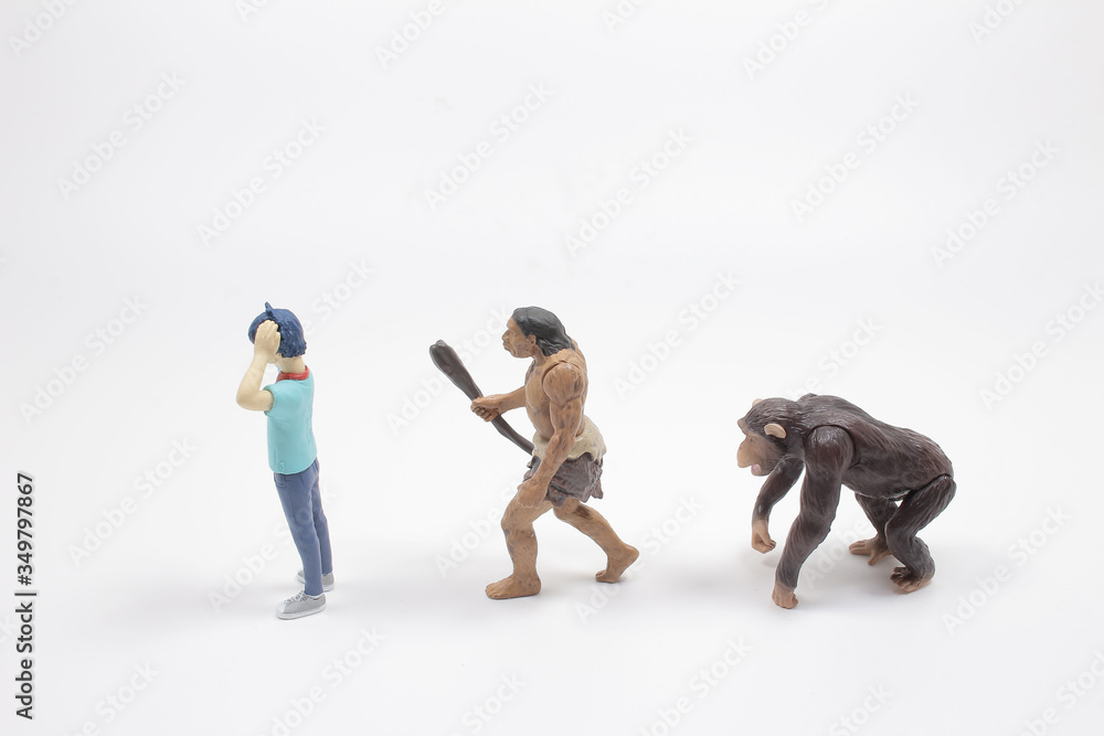 a scale of figure of Human Evolution Stock Photo | Adobe Stock