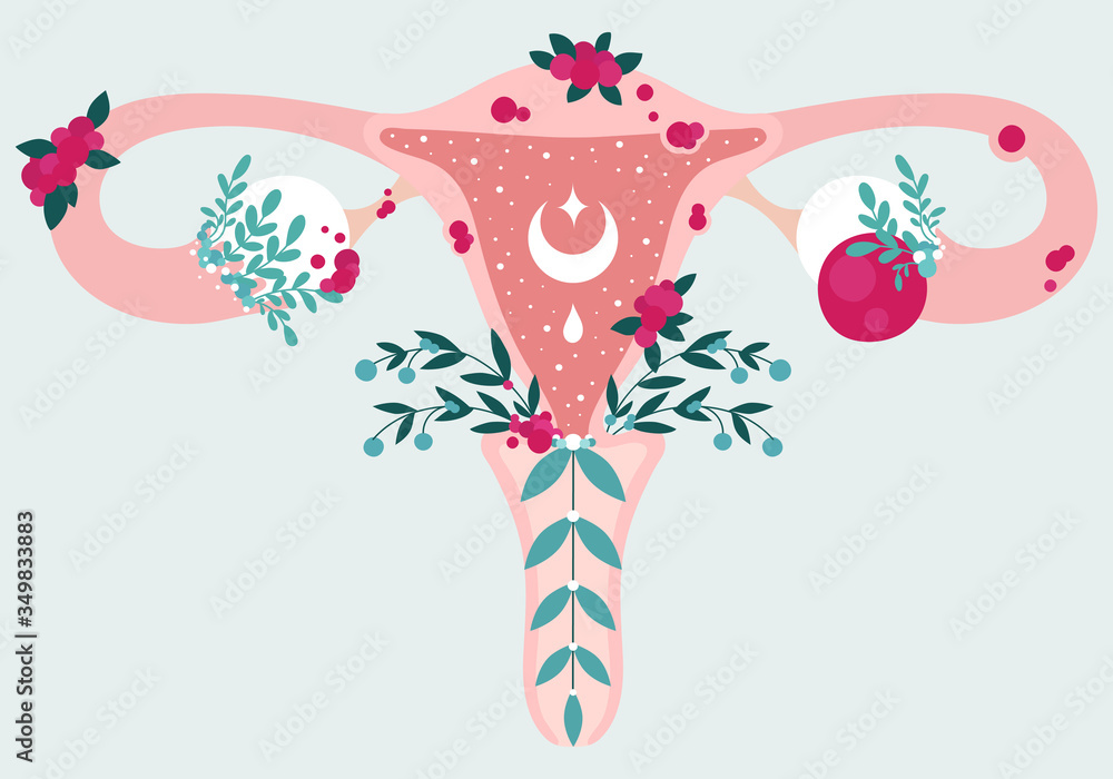 So fragile Women health - Uterus in flowers diagram. Anatomical scheme ...
