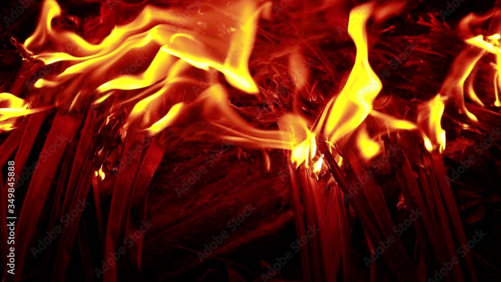 Coconut Leaf Fire flames on a black background. Blaze fire flame ...
