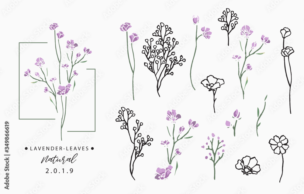 flower logo collection with leaves,geometric.Vector illustration for ...
