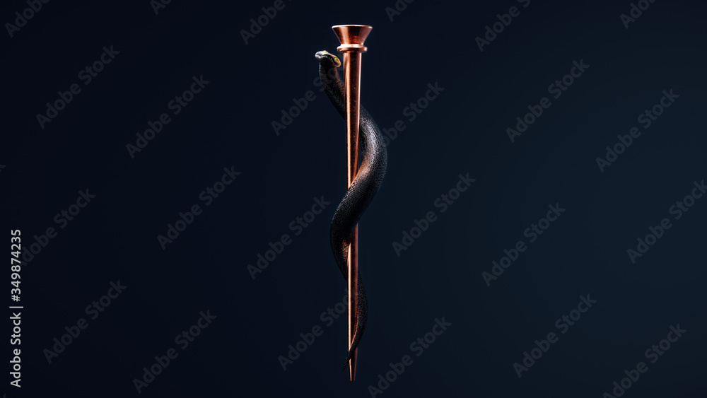 The snake entwined around a metal staff. Medical Symbol Rod of ...