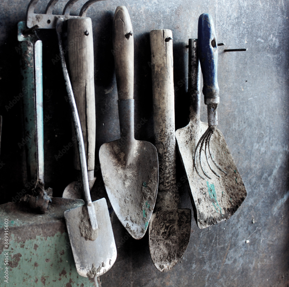 old dirty metal garden tools as shovels and rakes hanging on the wall ...
