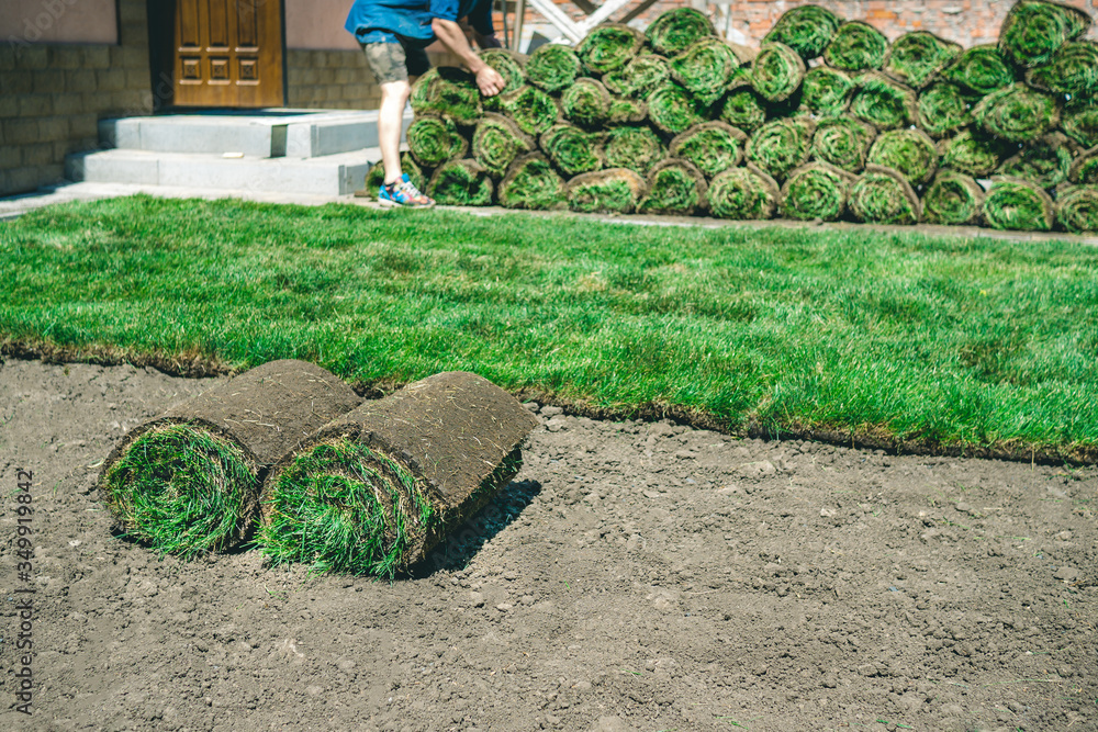 Rolls of fresh green lawn lie near the lawn on the ground. Delivery and ...