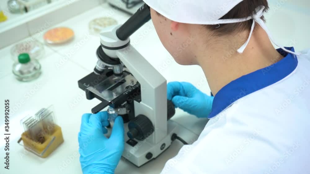 laboratory medical microscope testing using lab equipnemt Stock Video ...