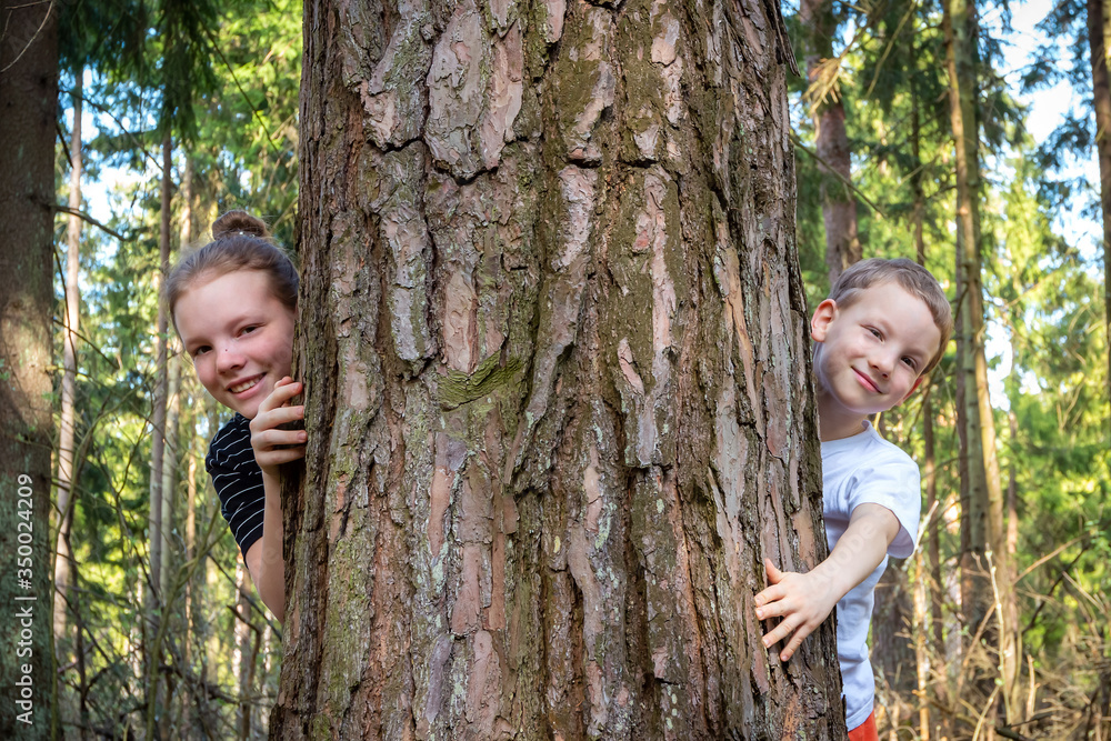 Concept of conservation of forests, nature and environmental. Children ...