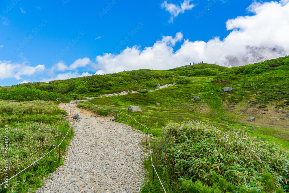 Scenery of natural and walkway for hiking at Asahidake peak mountain ...
