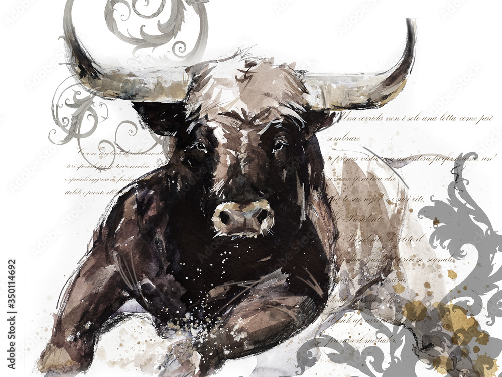 Fighting Bull vintage poster. animal illustration. Watercolor hand ...