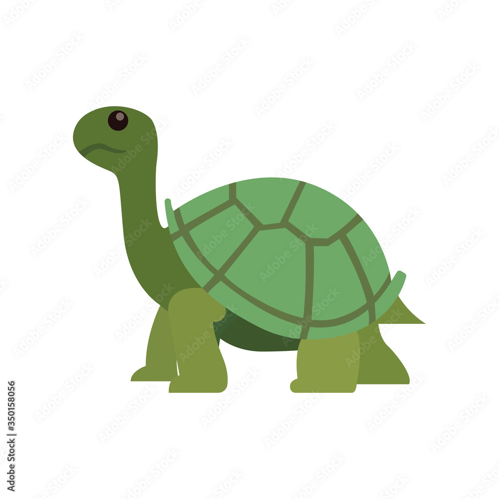 Turtle emoji isolated on white background. Cute turtle emoticon symbol ...