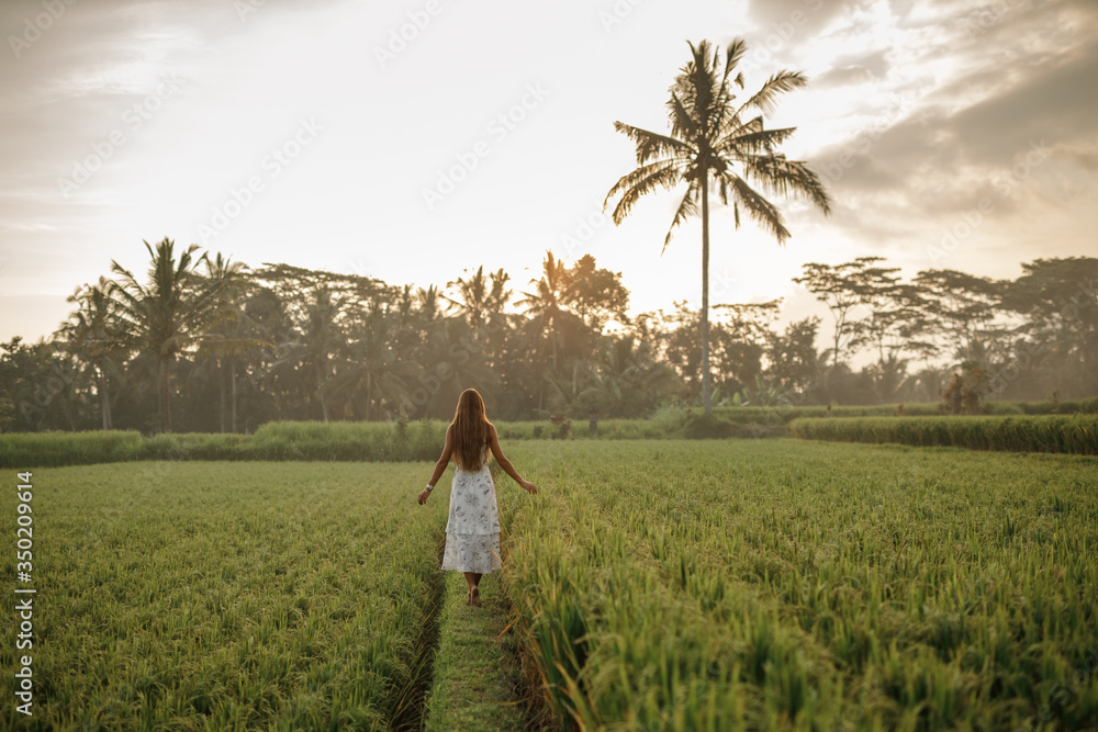 Back view young girl walking in rice field in Ubud, Bali. Trevelling to ...