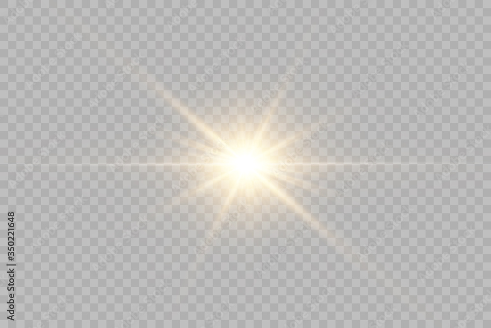 Light Flash Vector