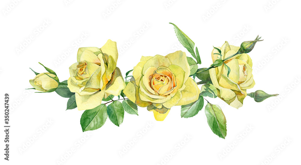Horizontal composition of watercolor yellow roses. Stock Illustration ...