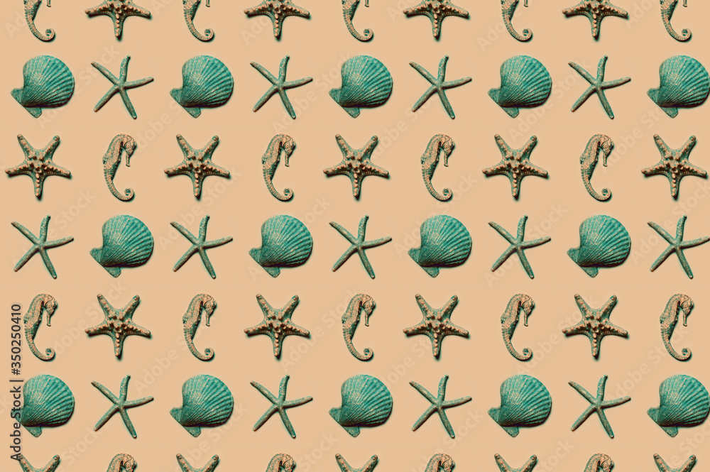 Collection of different seashells, pattern of turquoise shells on sand ...