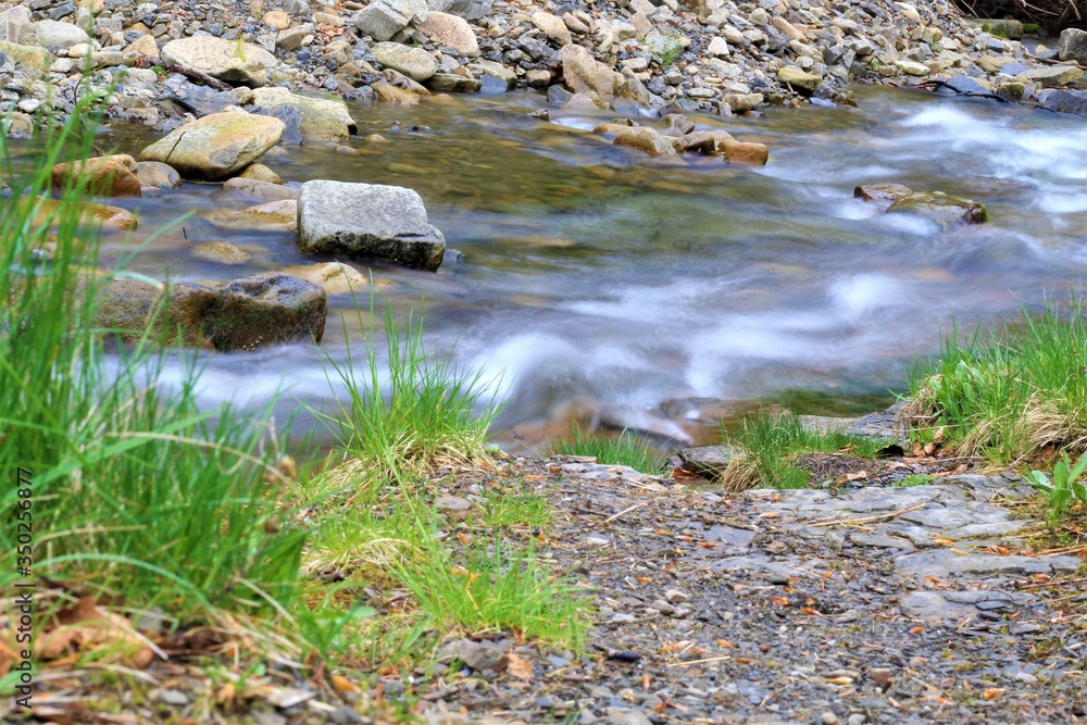 Foto de Strumyk w górach polskich. do Stock | Adobe Stock