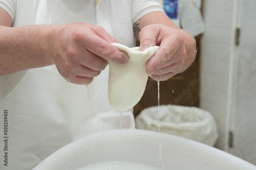 burrata. production of the typical apulian mozzarella called burrata ...