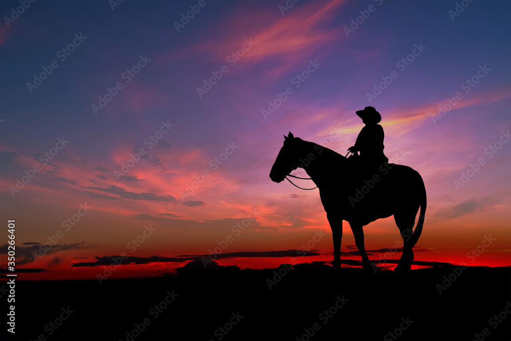 Cowboy Horse Silhouette Sunset