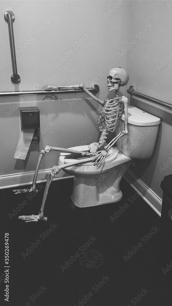 Human Skeleton Sitting On Toilet Bowl In Bathroom Stock Photo | Adobe Stock
