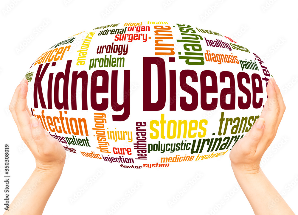 Kidney Disease word hand sphere cloud concept Stock Photo | Adobe Stock