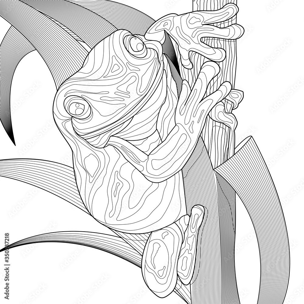 Red Eyed Tree Frog Coloring Page
