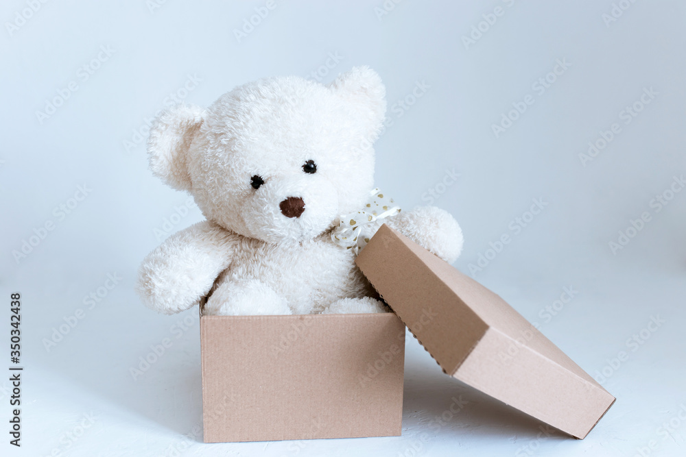 soft toy with an envelope on a white background, soft toy in a box ...