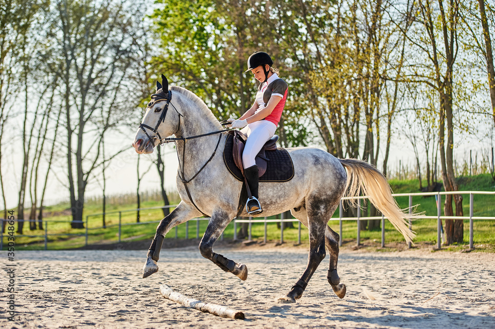Girl equestrian rider riding a beautiful horse in the rays of the ...