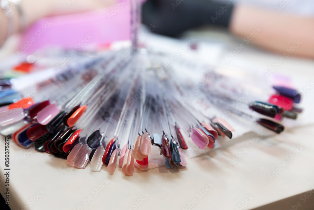 Nails variety samples for manicure. The color of Polish for manicure ...