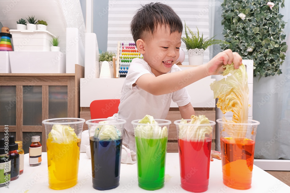 Asian kindergarten boy having fun making Rainbow Cabbage Experiment ...