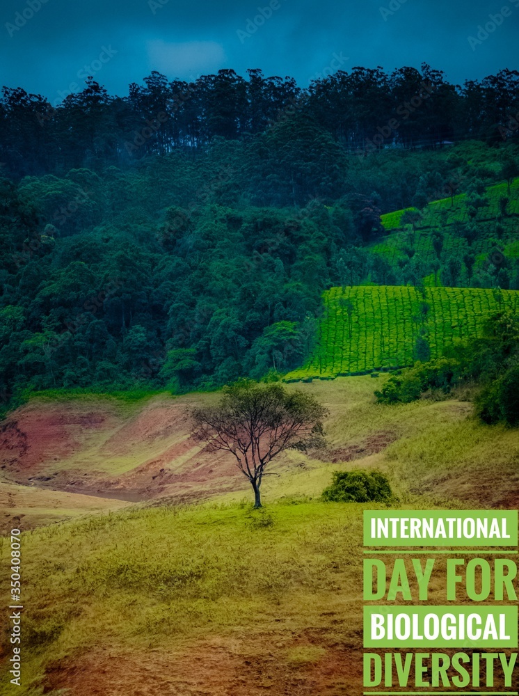 22nd May - International Day for Biological Diversity word on single ...