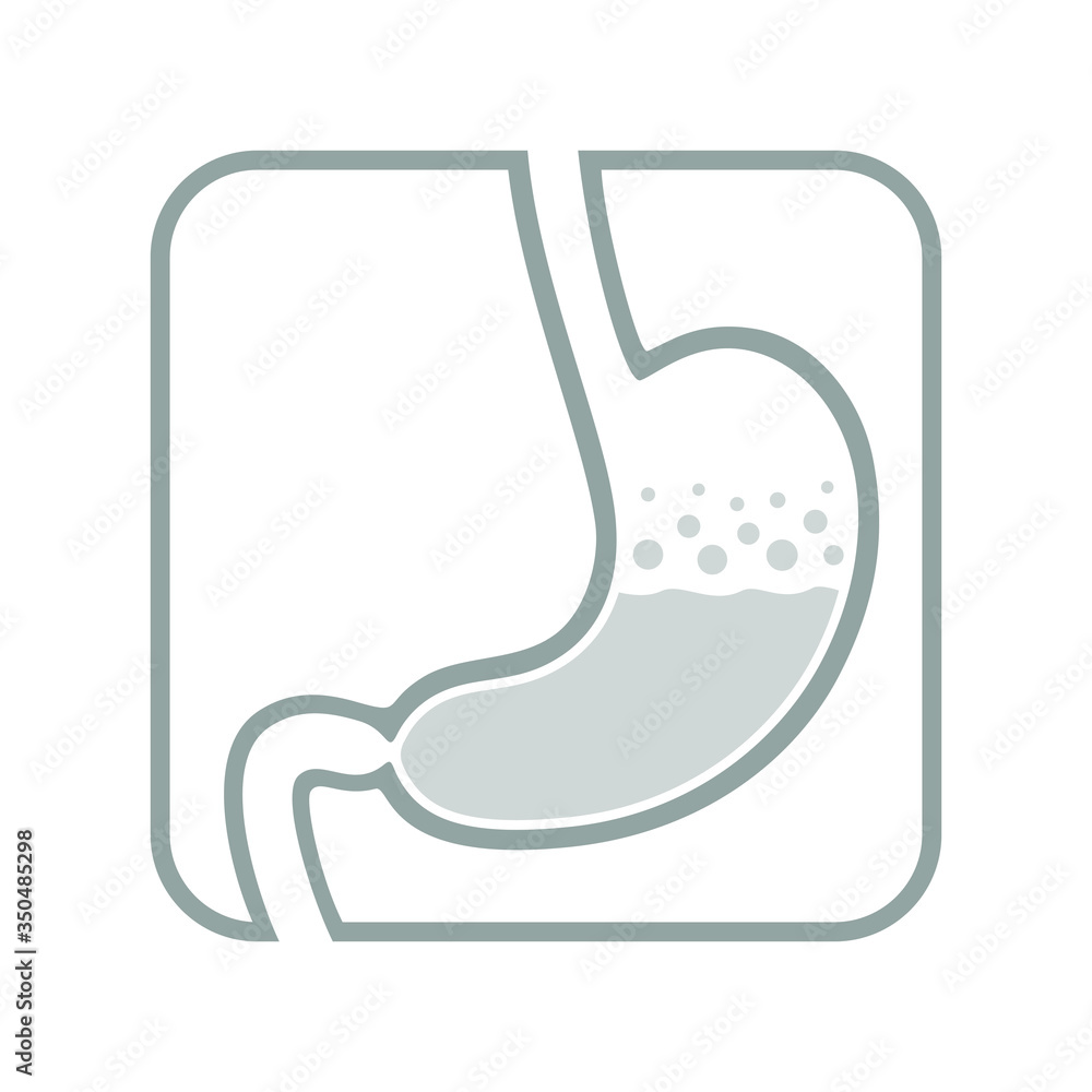 Stomach human graphic icon. Stomach with stomach gas sign isolated on ...