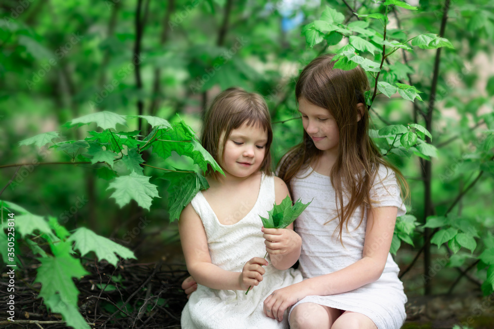 Tender young girls children are sitting on logs near maple tree ...