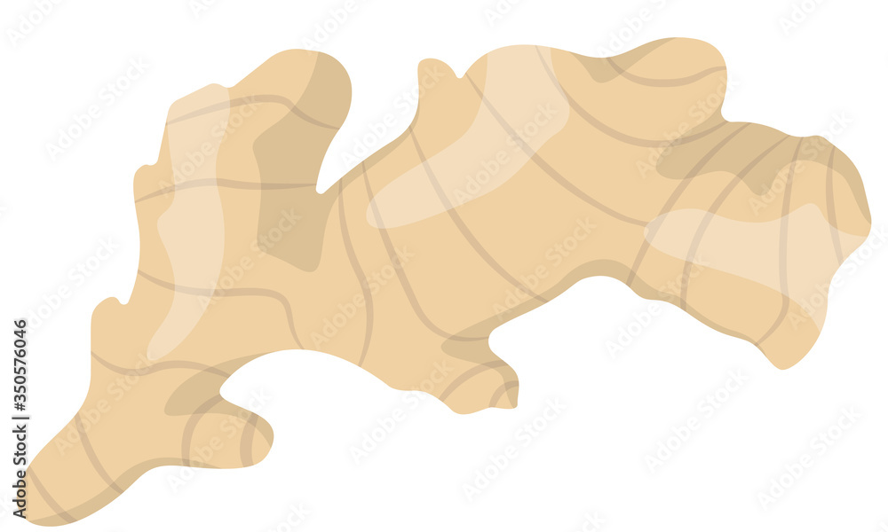 Ginger root in cartoon style. Healthy food. Stock Vector | Adobe Stock