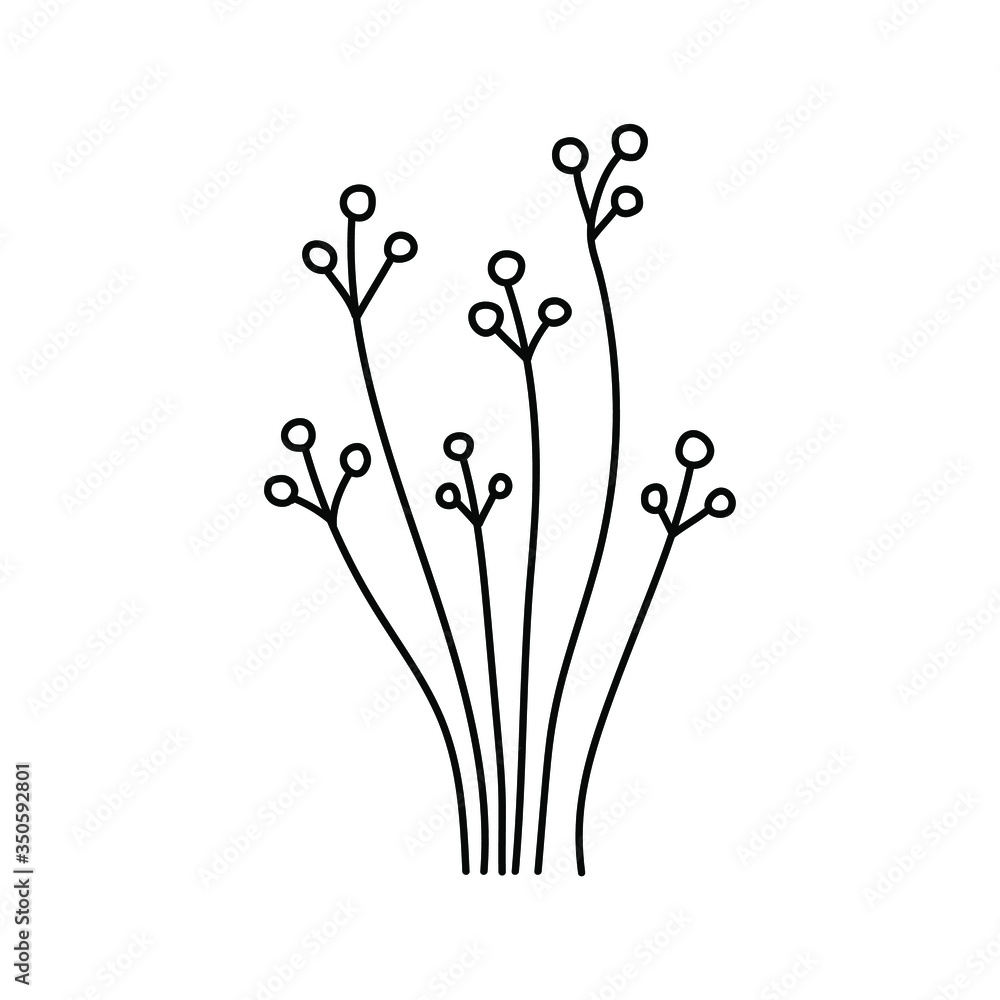 grass isolated. doodle grass. stylized grass. grass ink. herb logo ...