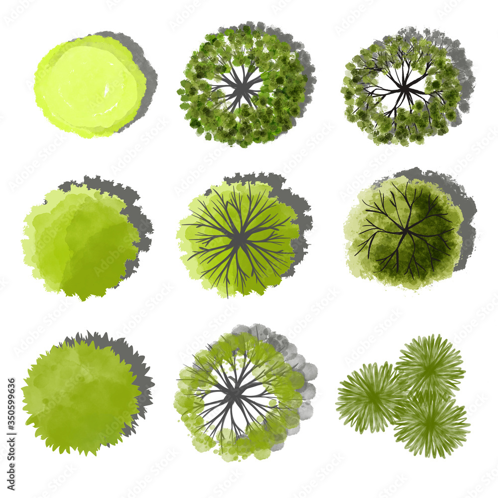 set of watercolor tree top view for landscape and architecture layout Stock Illustration | Adobe ...