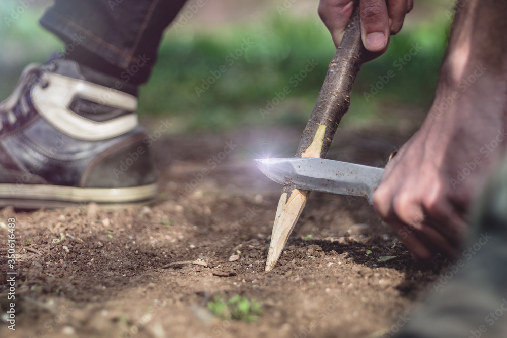Man making a poinky wooden stick, ground view. Male holding a knife and ...