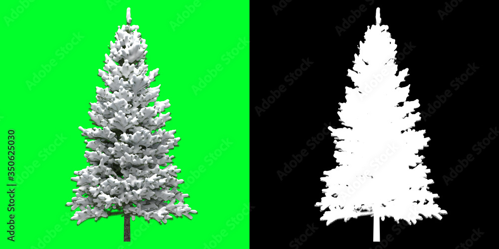 Front View Winter Tree 3D Render PNG Chroma Key Bakcground with Opacity ...