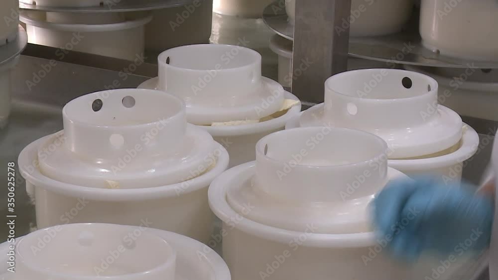 A Cheese Factory Employee Looking After a Fresh Brined. Cheese making ...