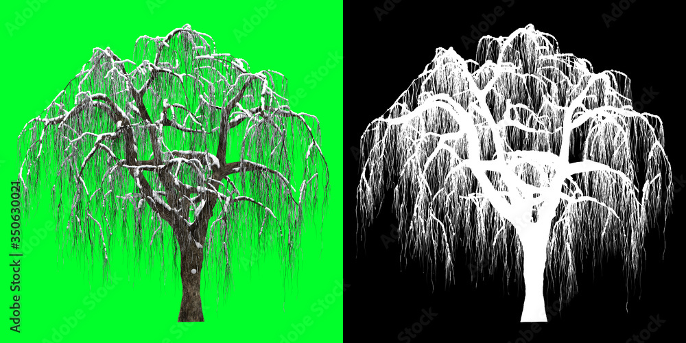 Front View Winter Tree 3D Render PNG Chroma Key Bakcground with Opacity ...