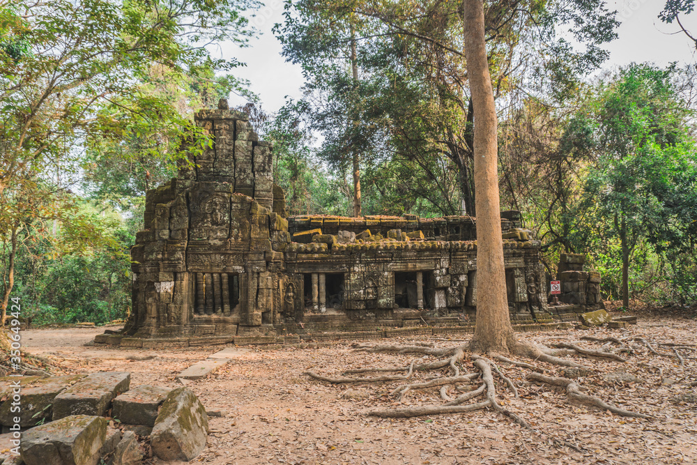 Huge Banyan Tree Ancient Angkor Wat Ruins Panorama Sunrise Asia ...