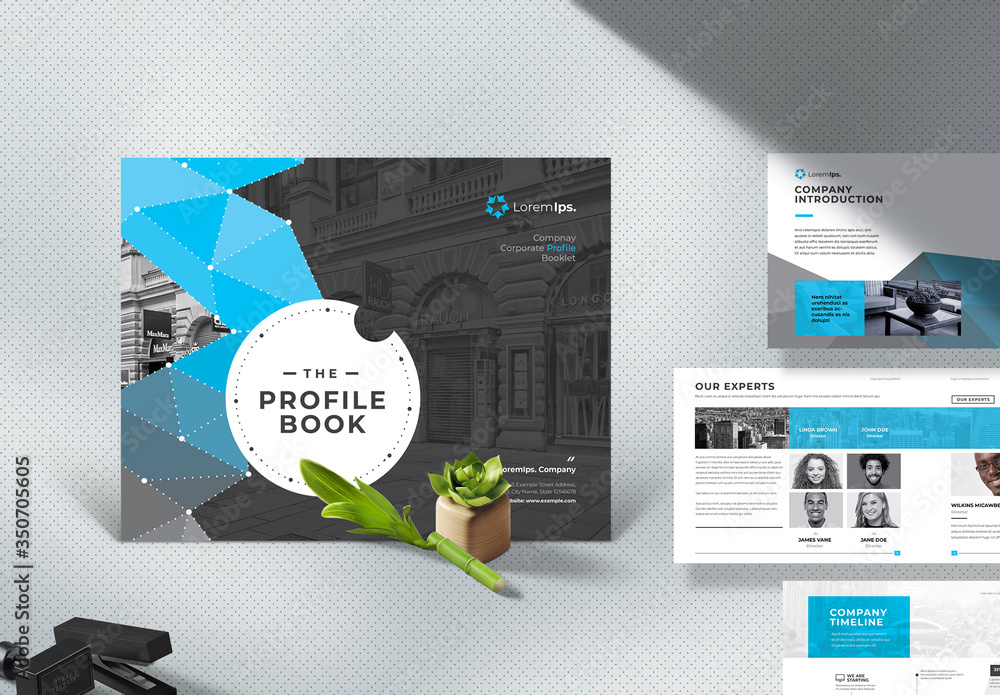 Profile Brochure Design Layout Stock Template | Adobe Stock