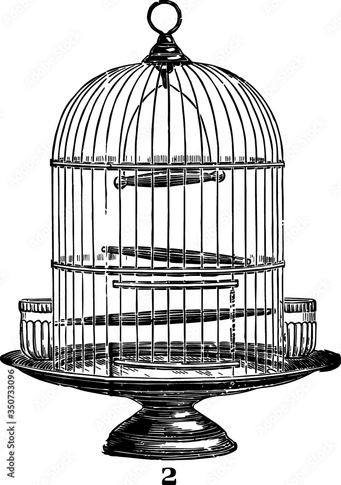 Vector Sketch of a Wire Bird Cage, Vector Sketch of a 19th century ...