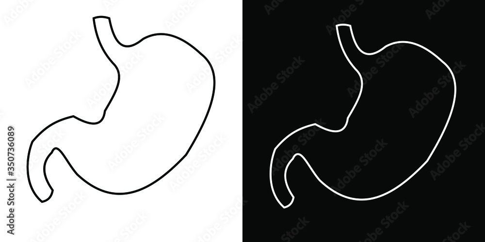 outline vector drawing of the human stomach. Illustration with simple ...