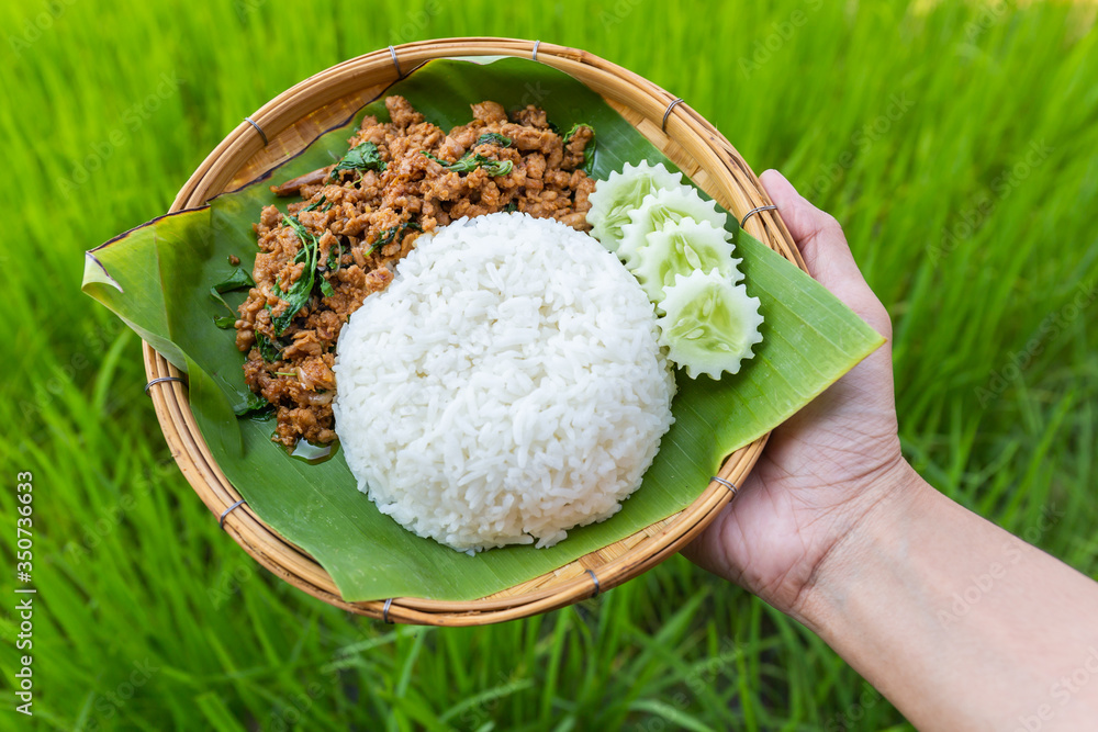 Thai Food Rice topped with stir-fried pork and basil cucumber in ...